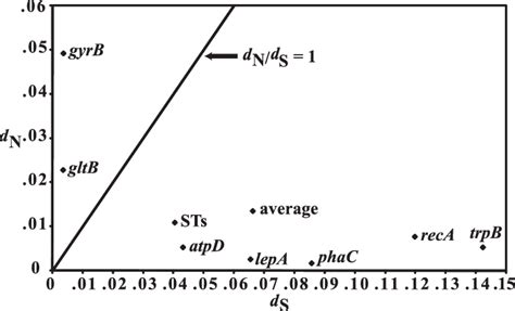 Plot Of Nonsynonymous Substitution Rate Versus Synonymous Substitution