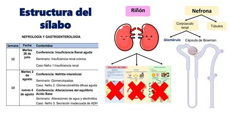 SOLUTION Insuficiencia Renal Aguda Y Cr Nica Studypool