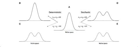 Deterministic Vs Stochastic Evolutionary Dynamics Of The Download Scientific Diagram