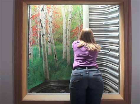 How To Install A Window Well Scene Biggies Window Well Scenes And Art