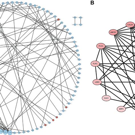 Ppi Network Complex And Modular Analysis Of Degs In Pca The Network Download Scientific