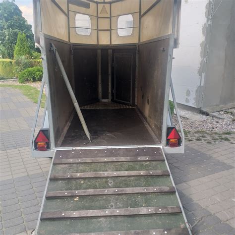 Przyczepa do przewozu koni DMC 1200 kg kat B Książki OLX pl
