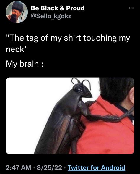 Bugging Out R Hsp