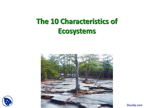 Characteristics Of Ecosystems Application Of Biology Lecture Slides