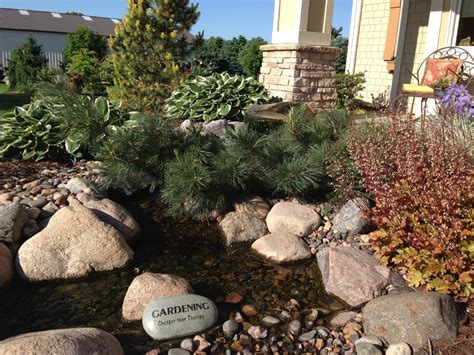 How To Care For Pom Pom Trees Pahls Market Apple Valley Mn