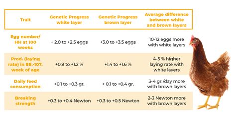 Future Of Egg Production With Lohmann Breeders Genetics Meets Bird