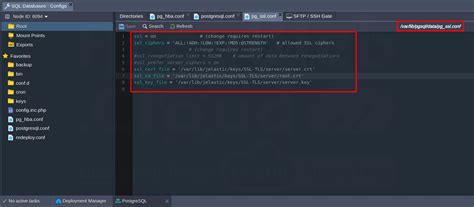 Ssltls Encryption In Transit For Postgresql On Accuwebcloud