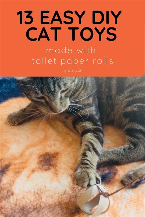 Toilet Paper Roll Cat Toy 6 Easy Diy Toilet Paper Roll Cat Toys