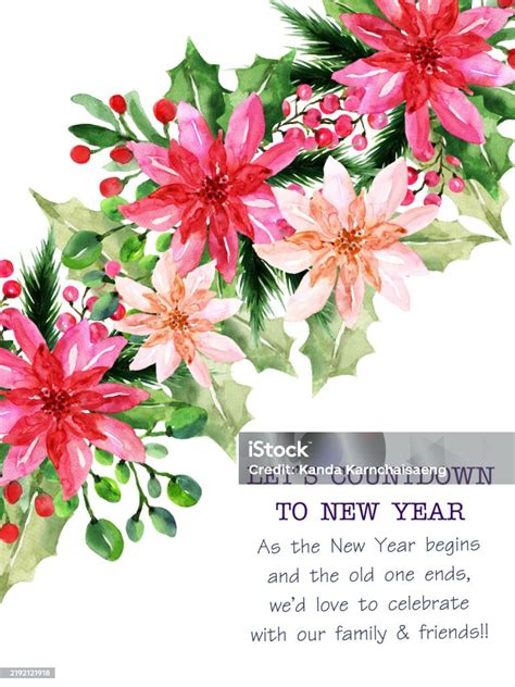 크리스마스 식물 포인세티아 수채화 다채로운 핑크 그린 빨간 복숭아 오렌지 휴일 파티 Greetind 카드 및 포스터 손으로 그린 전통 꽃과 식물 0명에 대한 스톡 벡터 아트