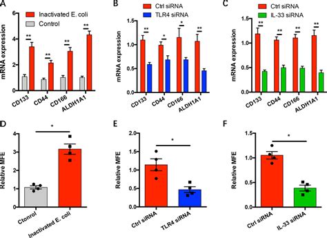 Il 33 Licenses Gram Negative Bacteria Induced Stem Cell Properties A
