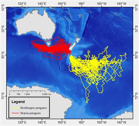 Rockhopper And Snares Penguin Travel Map Earth Sciences New Zealand Niwa