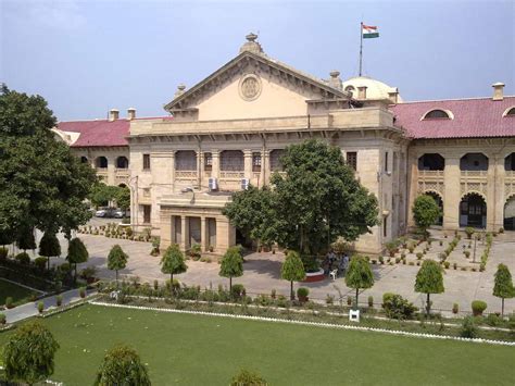 Up Hc Grants Anticipatory Bail To Man Booked Under Cow Slaughter Laws