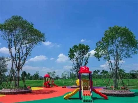 免費開放深圳新多了兩個公園你聽說了沒 每日頭條