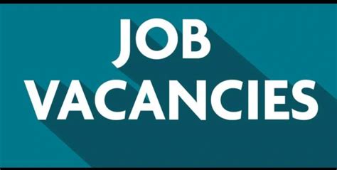 Nandani Singh On Linkedin Freshers Experienced Done Jobsearch