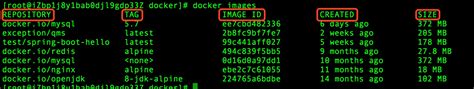 Docker 查看镜像信息查看docker Csdn博客
