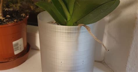 Orchid Pot Par Michalvallo Téléchargez Gratuitement Un Modèle Stl