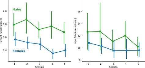 The Role Of The Rat Prefrontal Cortex And Sex Differences In Decision