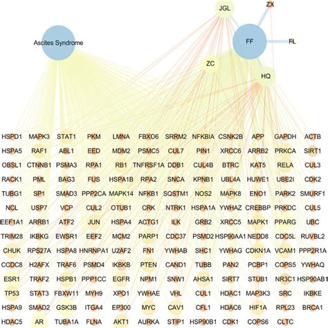 Drug Target Disease Interaction Network A Ppi Network Of Qljp And Download Scientific