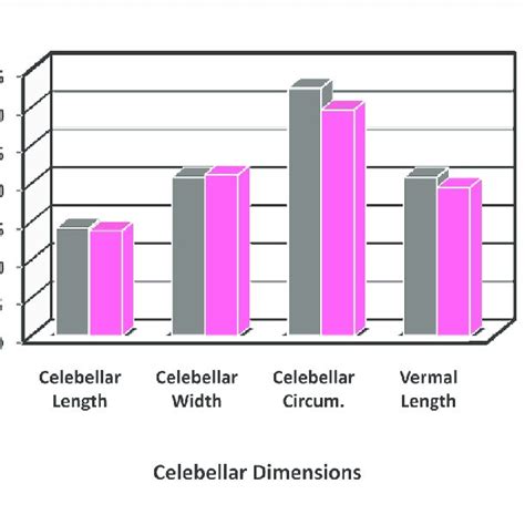 Histogram Comparing The Sex Differences In The Cerebellum Dimensions Of
