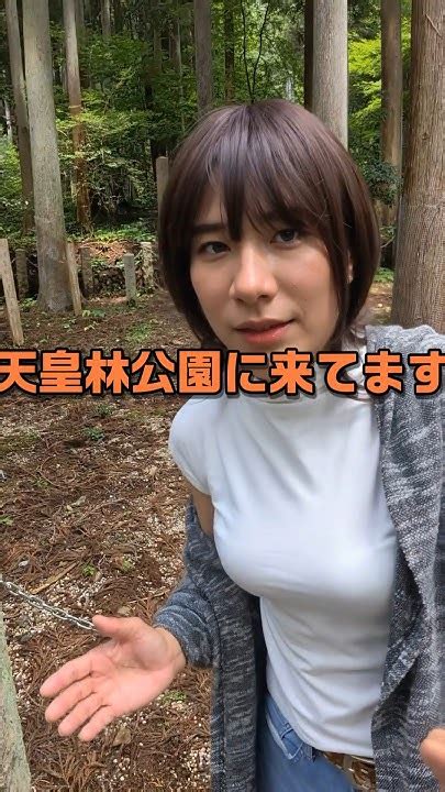 【史跡巡り】 岐阜県揖斐郡揖斐川町谷汲 天皇林公園 行って来ましたぁー Stablediffusion Automobile