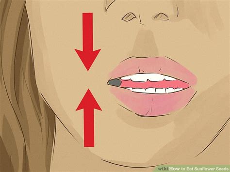 How To Eat Sunflower Seeds With Pictures Wikihow