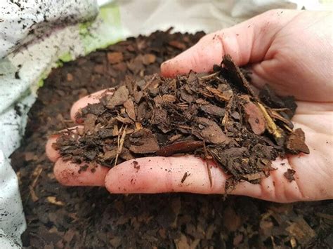 How To Add Nitrogen To Soil Explained Grow Your Yard