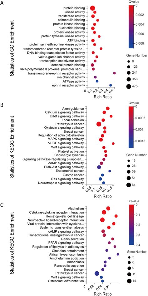 A Gene Ontology Go Annotations And B Kyoto Encyclopedia Of Genes