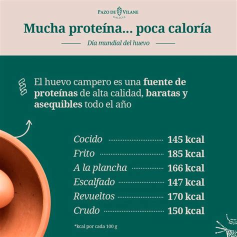 Valor nutricional del huevo Guía de los nutrientes del huevo