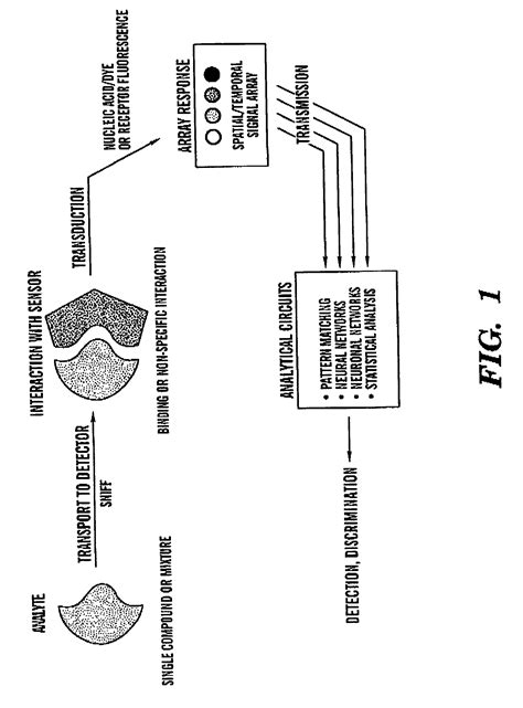 Intelligent Electro Optical Nucleic Acid Based Sensor Array And Method For Detecting Volatile