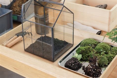 이끼 테라리움 만들기 이끼 키우기와 관리 방법도 네이버 블로그