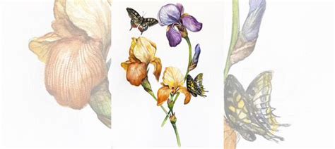 Картина акварелью «Ирисы купить в Москве Хобби и отдых Авито