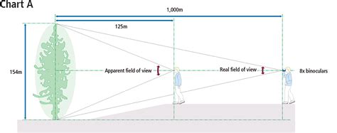 Glossary Of Binocular Terms Sport Optics Nikon Consumer