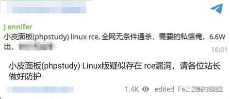 宸极实验室—『漏洞复现』小皮面板 Rce 复现 知乎