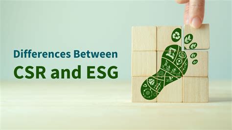 Understanding Csr And Esg Key Differences And Future Directions
