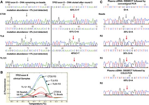 Clinical Specimen Analysis Using Dissect Conventional Pcr Sanger