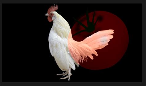 What Is Going On With The Blend Mode Color In Davinci Resolve R