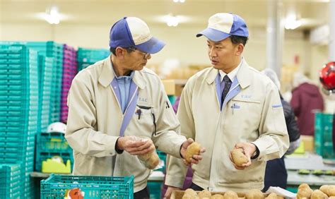 横浜丸中ホールディングス株式会社－青果物の集荷・加工・配送・販売