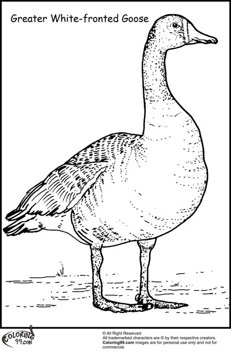 Canada Goose Coloring Page Coloring Pages 3075 The Best Porn Website