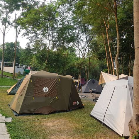รูป ปลาวาฬหลงทาง Campandcafé Wongnai