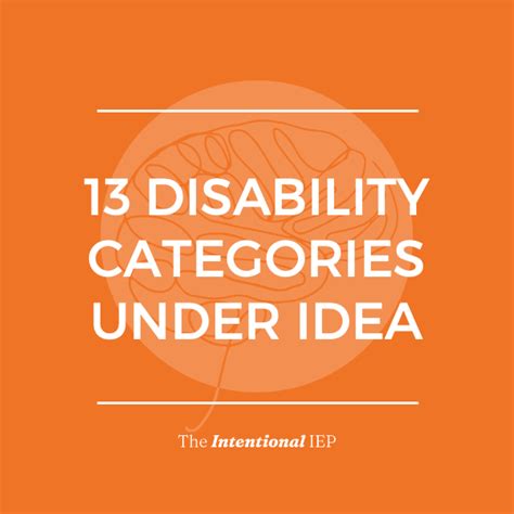 Special Education Basics The 13 Disability Categories Explained The
