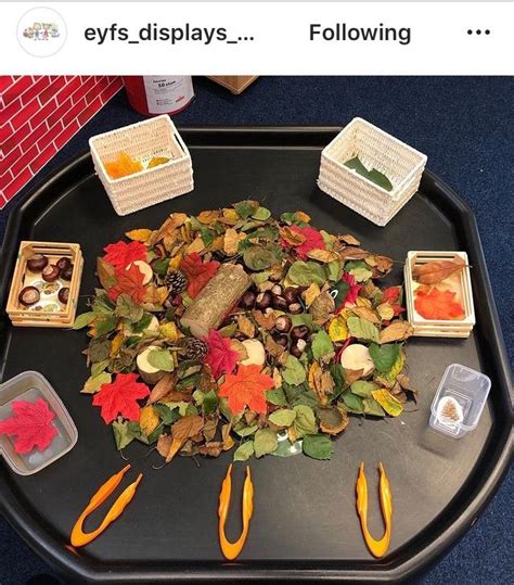 Preschool Nature Sensory Bins