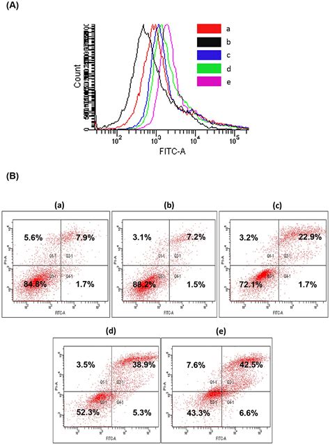 Fitc Annexin V Apoptosis Detection Kit I 44 Off