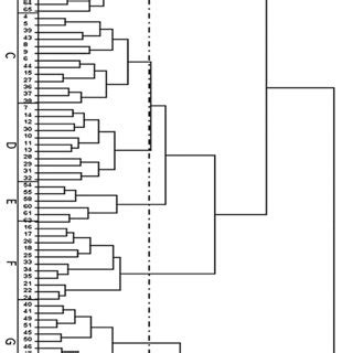 Data Matrix Dendrogram With The Different Groups Download Scientific Diagram