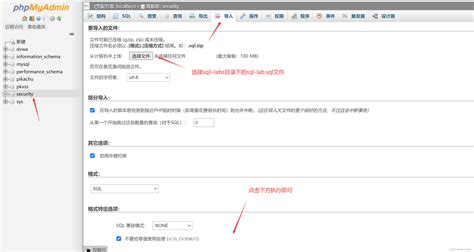 Web安全渗透测试 Pikachuanddvwaandsqli Labsandupload Labsandxss Labs靶场搭建（超详细）xss靶场搭建