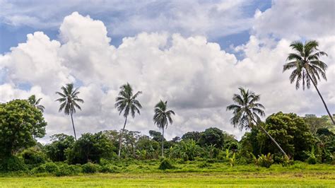 Daniel Tomkinson Dan Tomkinson Twitter