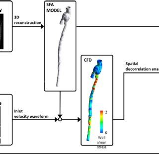 Schematic Overview Of The Workflow Download Scientific Diagram