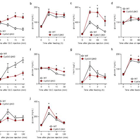 Insulin Glargine Dose Titration Algorithm And Monitoring Download Table