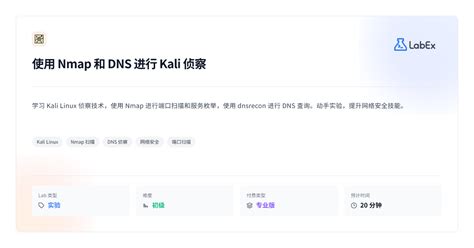 使用 Nmap 和 Dns 进行 Kali 侦察 网络安全扫描与 Dns 查询 Labex