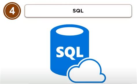 data science programming 2024 best languages nomidl