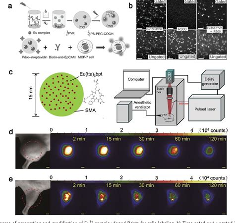 Figure 1 From Recent Progress In Time Resolved Biosensing And Bioimaging Based On Lanthanide
